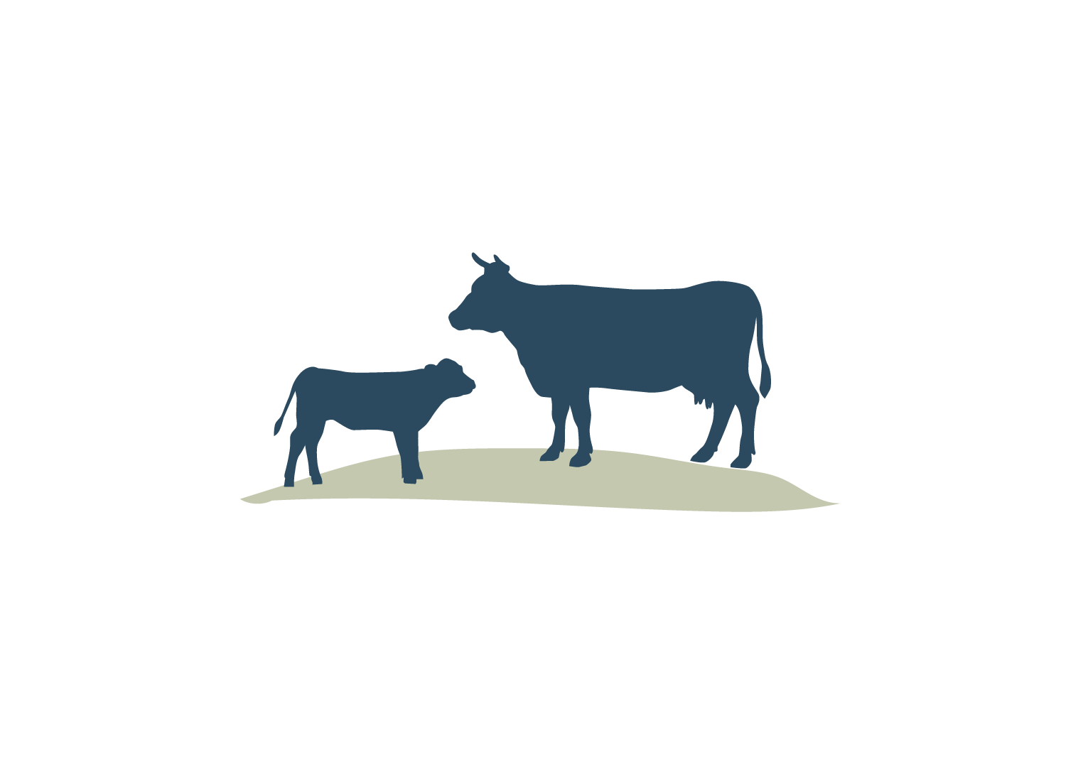 Heritage tours - Croick