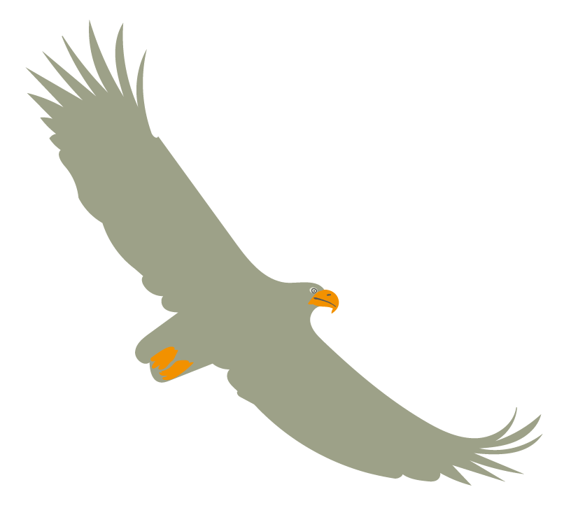 Heritage tours - Croick