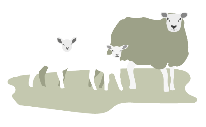 Heritage tours - Croick